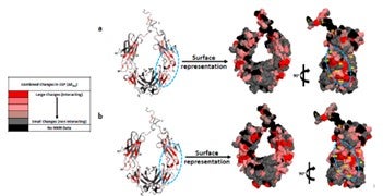 Biophysics of protein interactions with surfaces, ligands and proteins ...